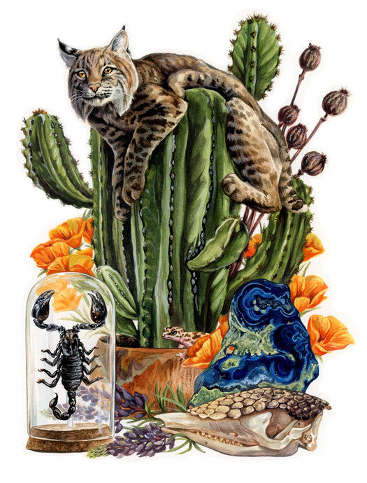 V Steiner Art – vsteiner