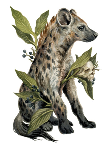 V Steiner Art – vsteiner