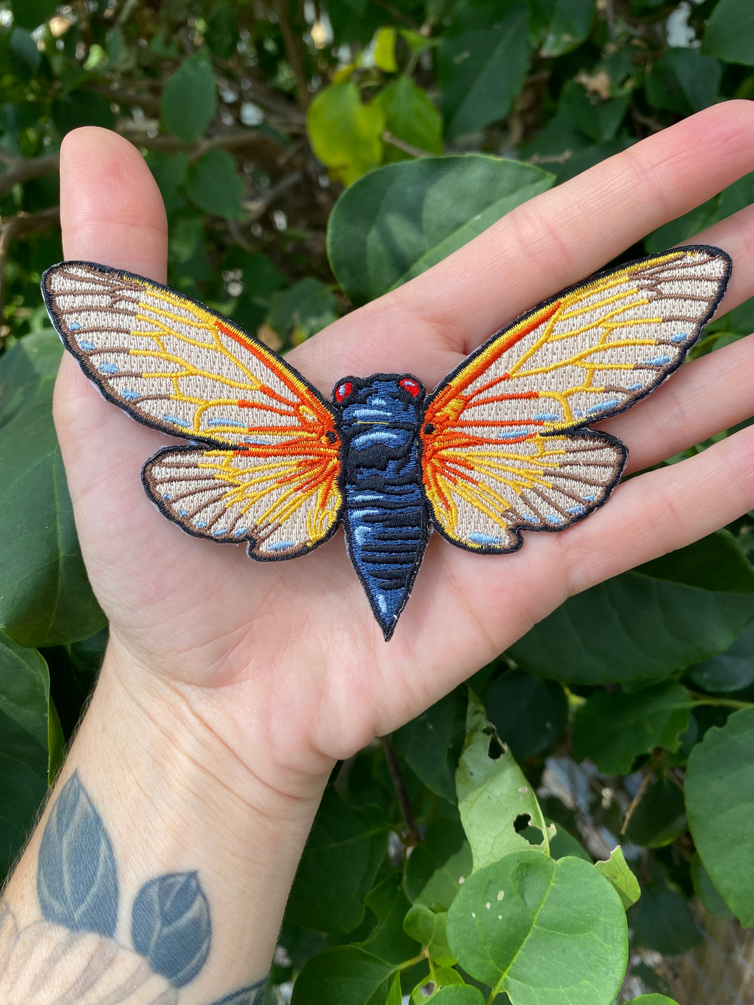 V Steiner Art – vsteiner