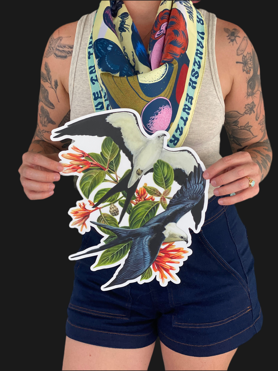 XL Sticker Kites – vsteiner