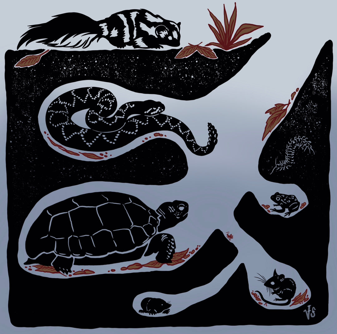 Watercolor – Page 2 – vsteiner