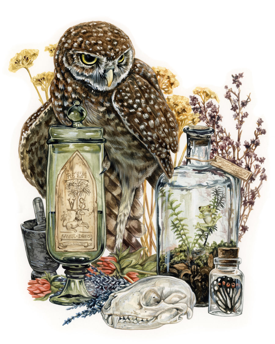 Watercolor – Page 2 – vsteiner