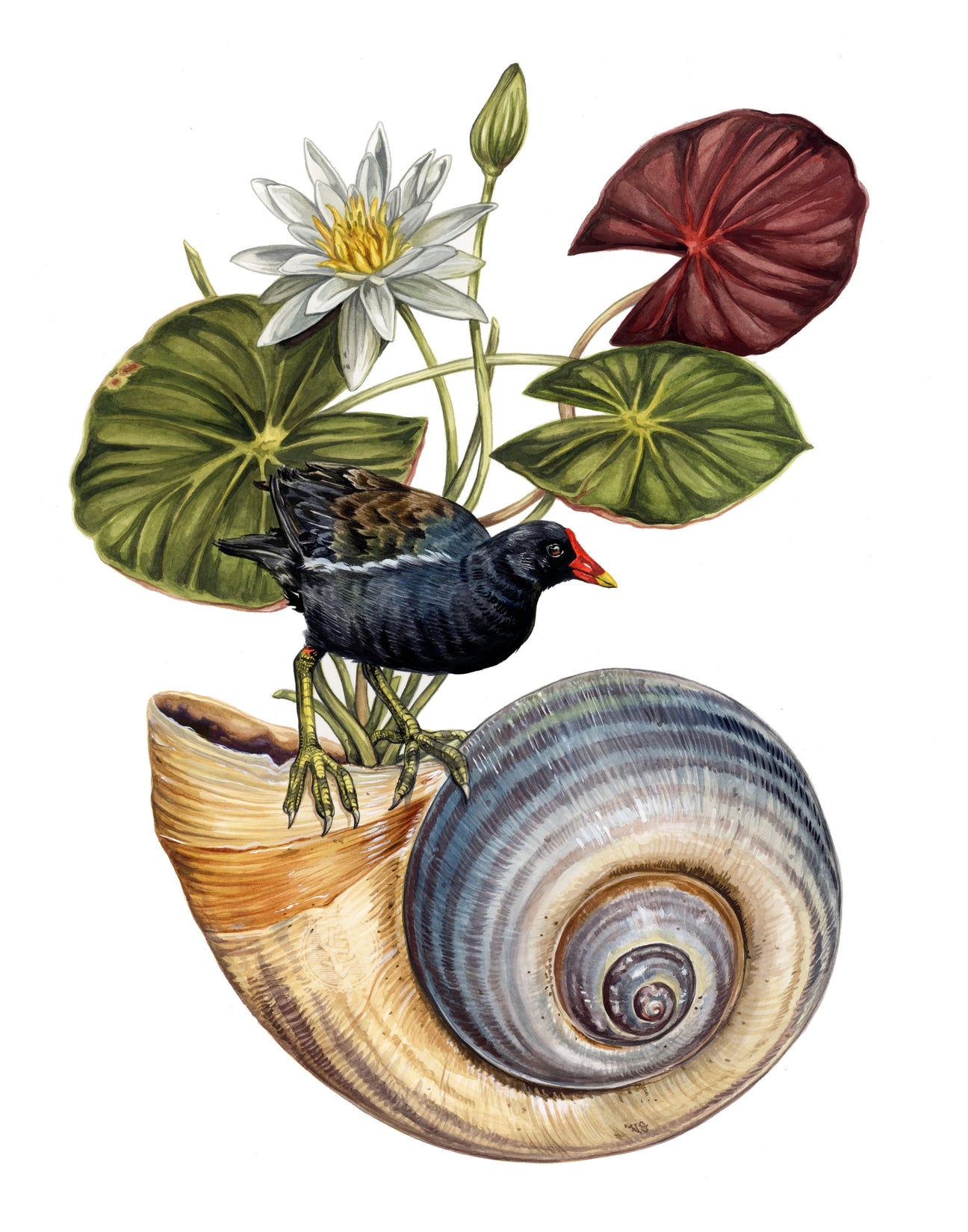 V Steiner Art – vsteiner