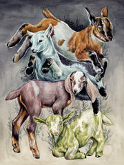 Watercolor – Page 2 – vsteiner