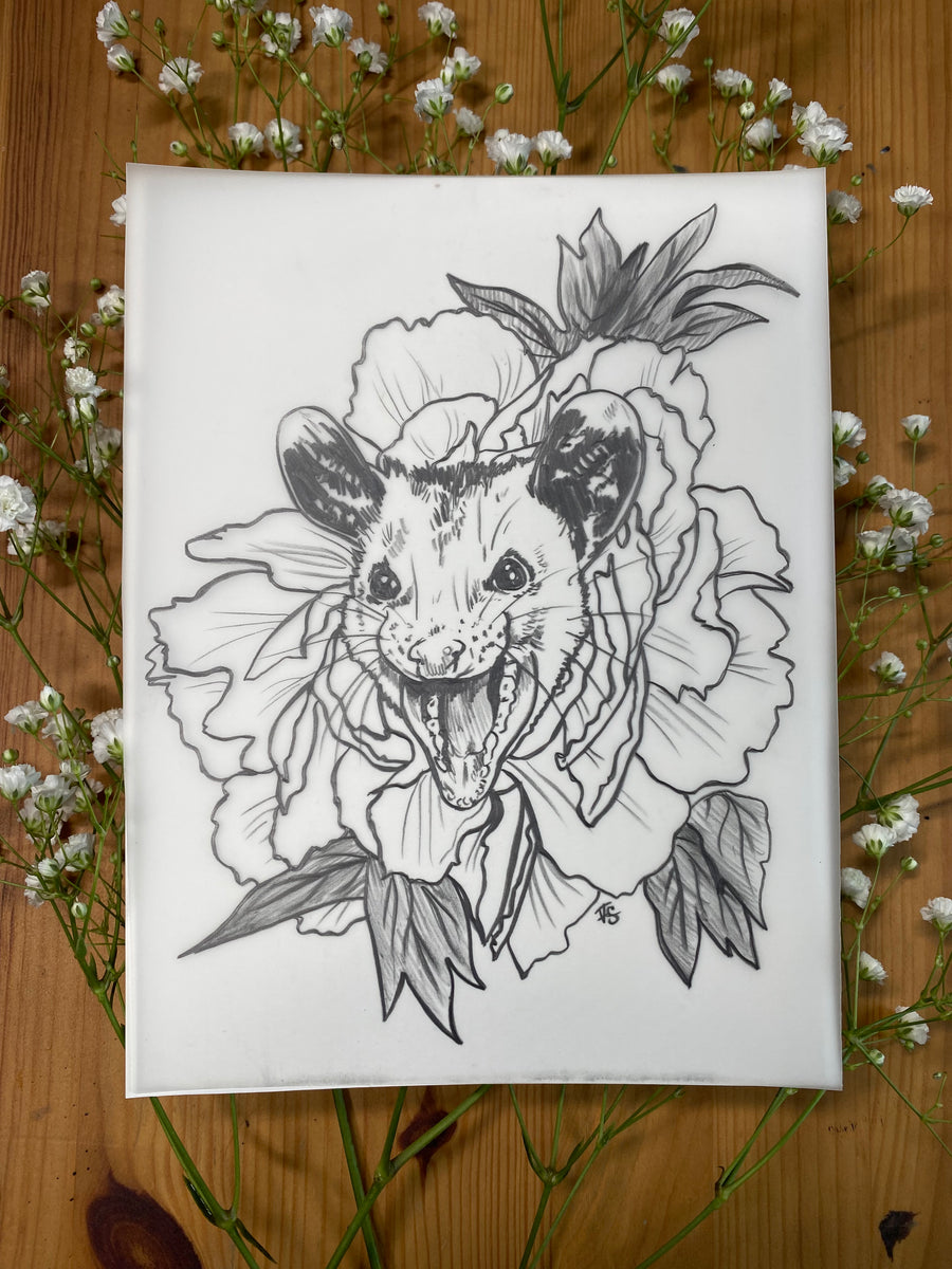 Opossum Screaming original – vsteiner