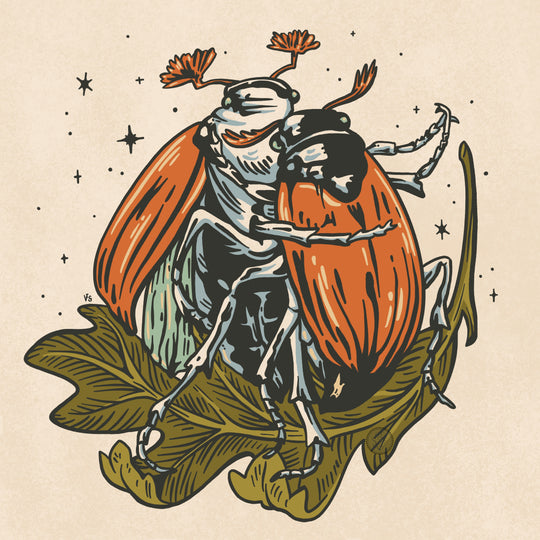 V Steiner Art#N#– vsteiner