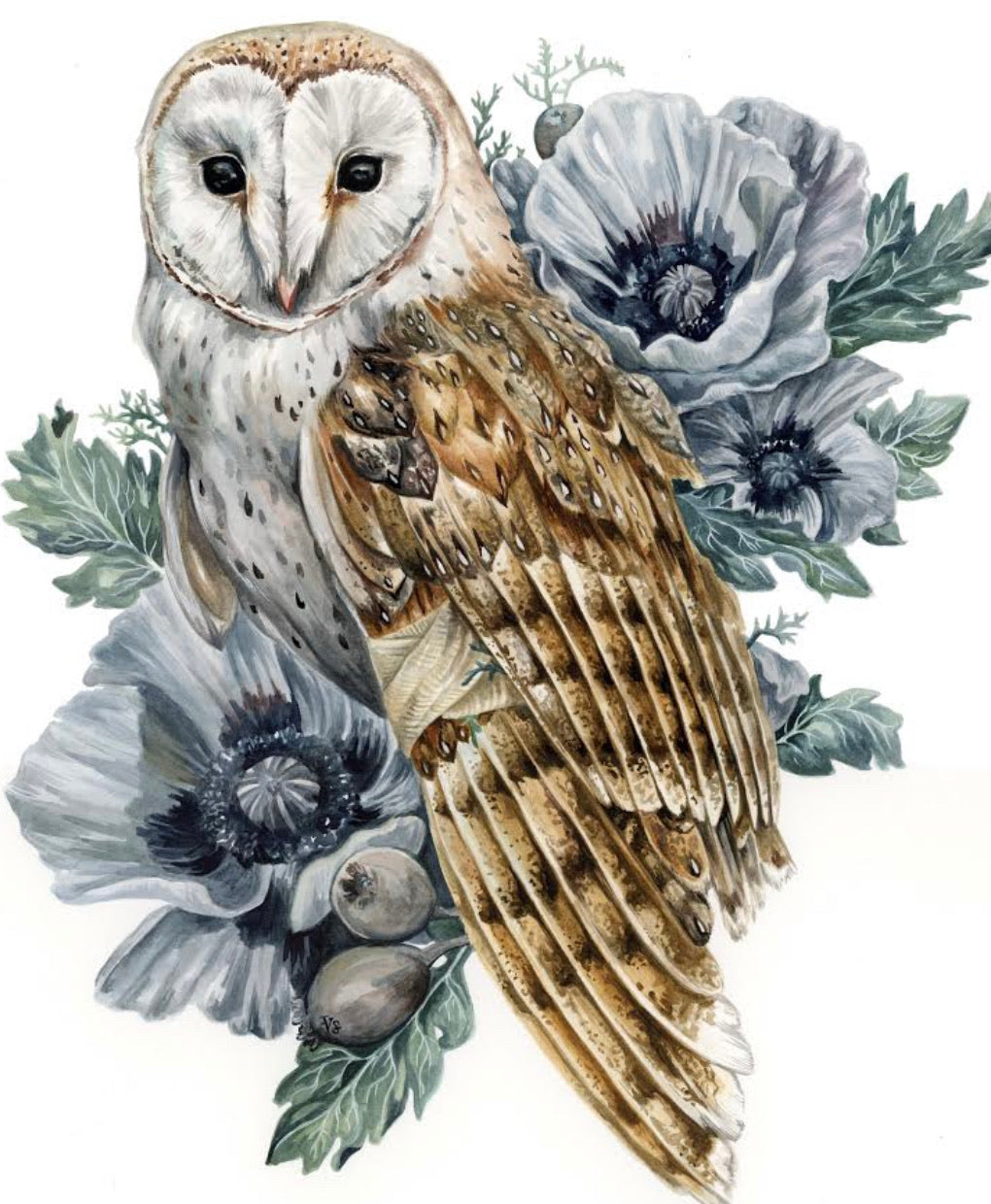 Barn Owl Tattoo Sketch