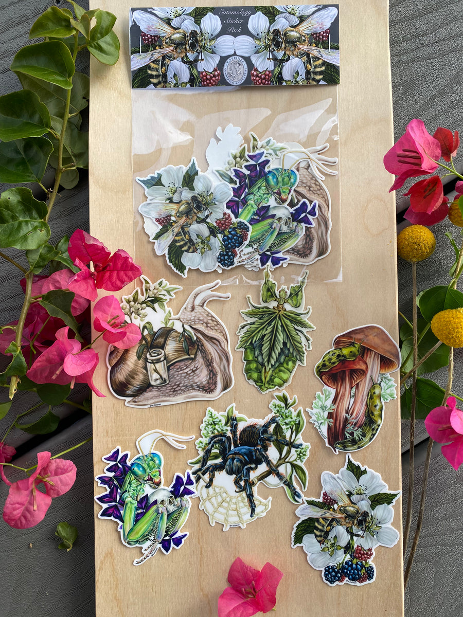 Insect sticker pack of 6 – vsteiner